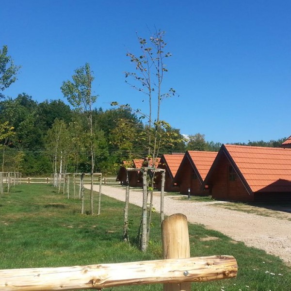 Eco camp "Rizvan City" in Kvarner, Kroatien - Spottocamp - Spottocamp