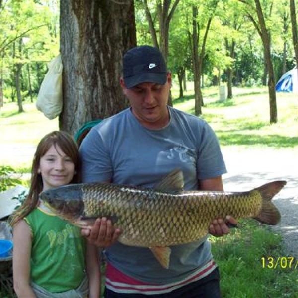 Camping Srebrno Jezero - Veliko Gradiste in Serbia - Spottocamp ...