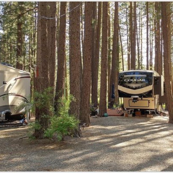 Little Bear RV Park en California, États-Unis - Spottocamp - Spottocamp