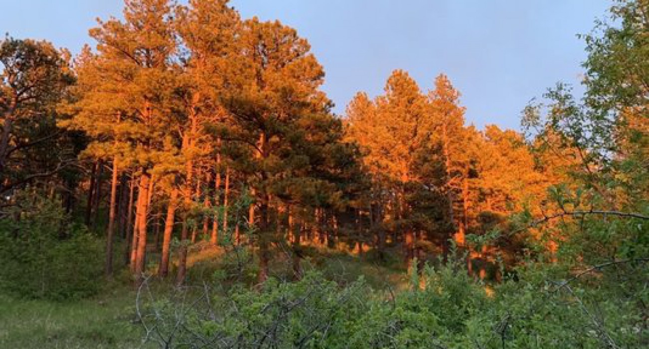 Reva Gap Campground in Vereinigte Staaten von Amerika - Spottocamp ...