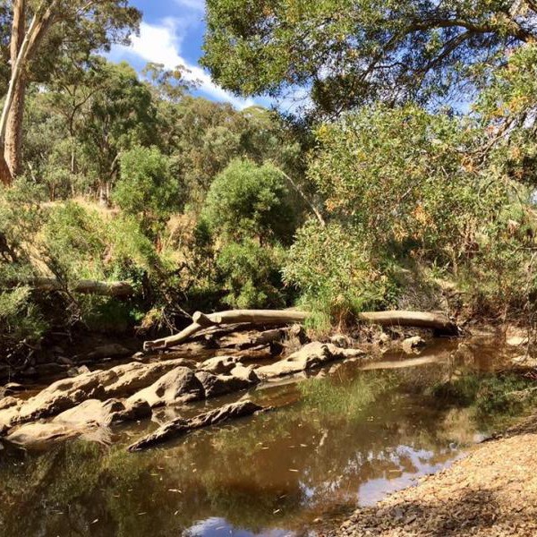 Warburtons Bridge Campground in Victoria, Australien - Spottocamp ...