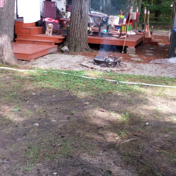Timber Surf Camping Resort in Vereinigte Staaten von Amerika ...