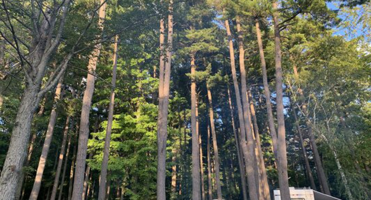 Timber Surf Camping Resort in Vereinigte Staaten von Amerika ...