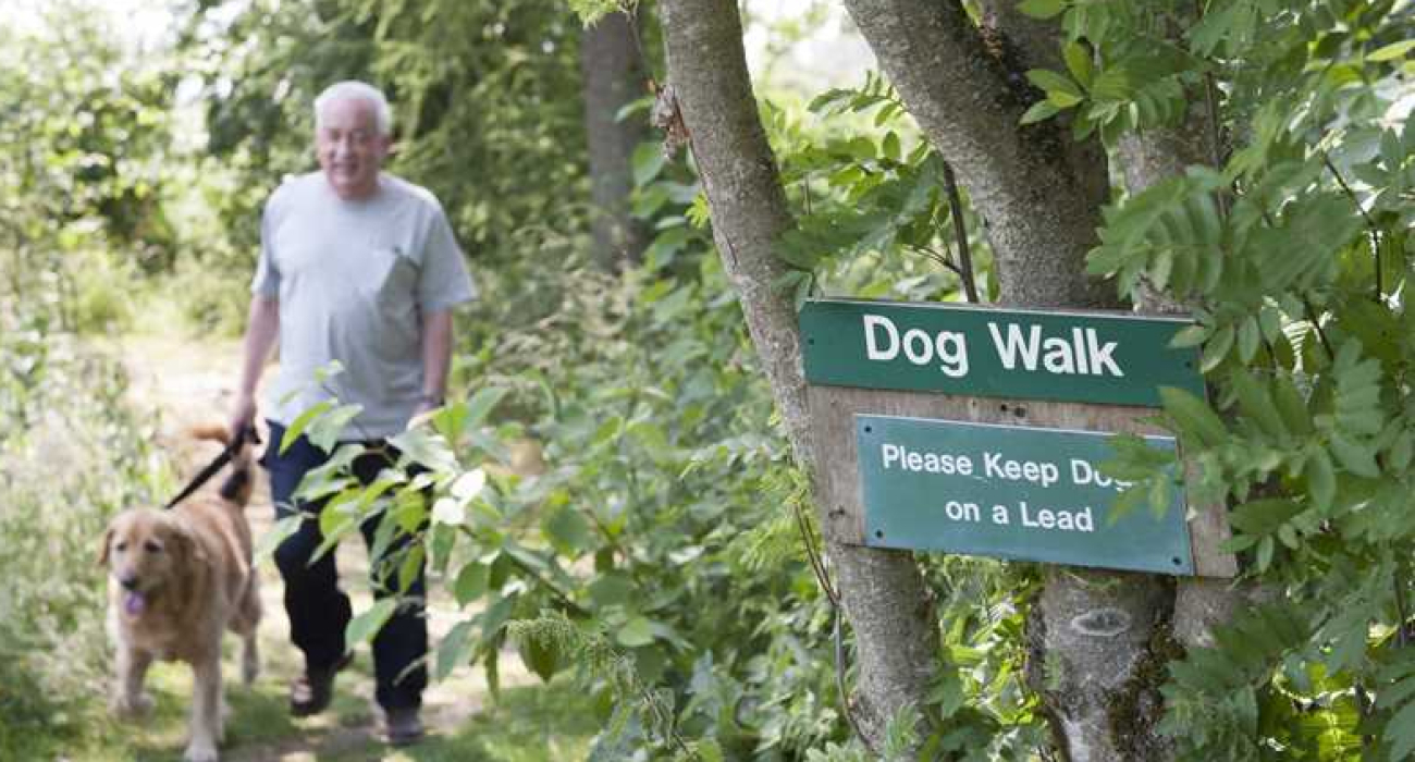 Scone Camping and Caravanning Club Site in the United Kingdom ...