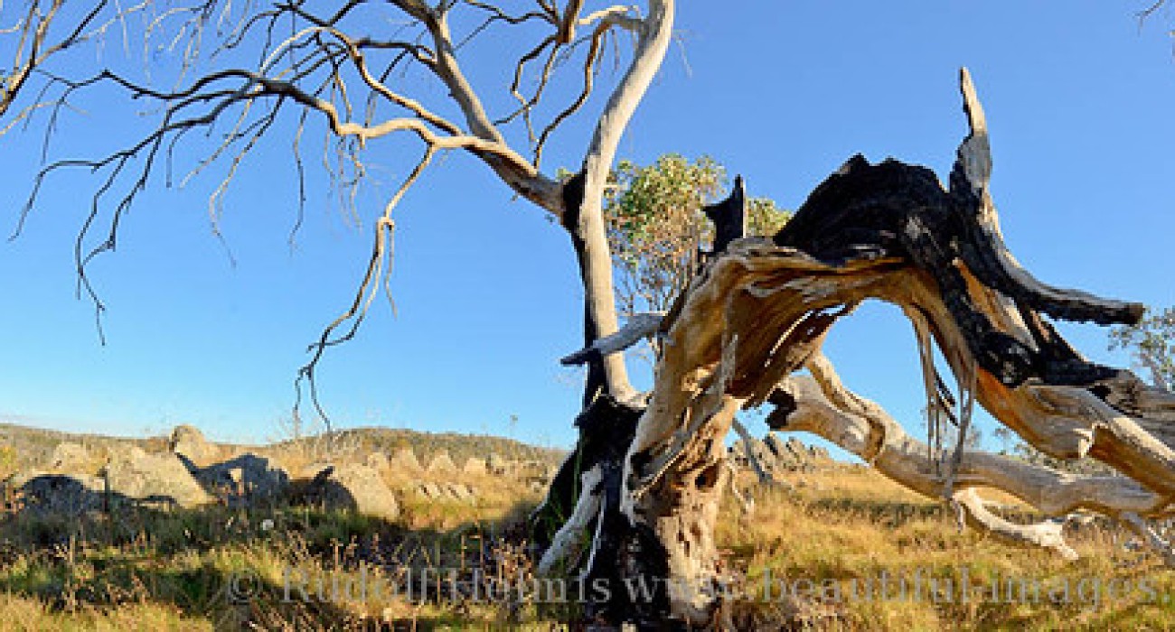 Three Mile Dam Campground em Austrália - Spottocamp - Spottocamp