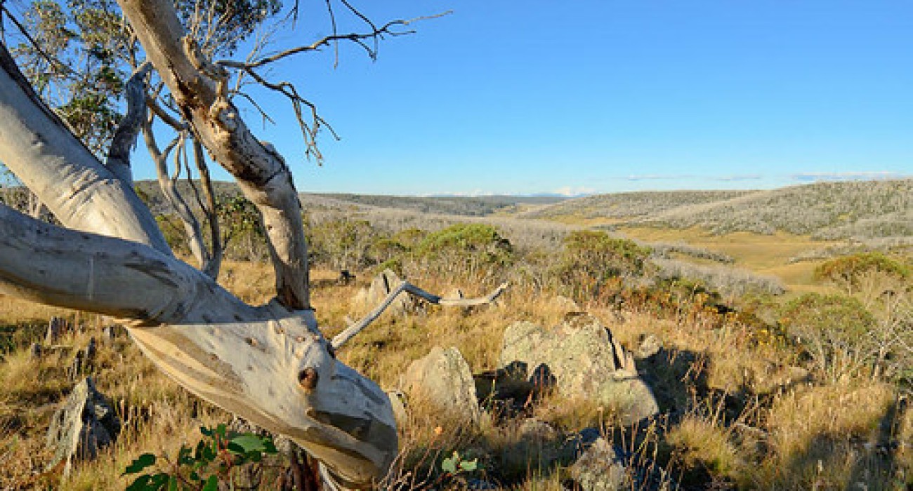 Three Mile Dam Campground em Austrália - Spottocamp - Spottocamp