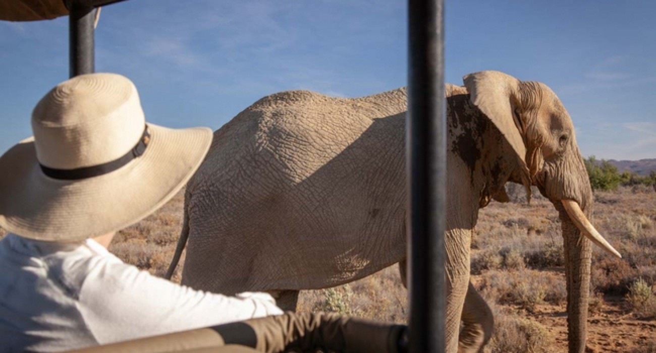 Kuganha Luxury Tented Camp en Afrique du Sud - Spottocamp - Spottocamp
